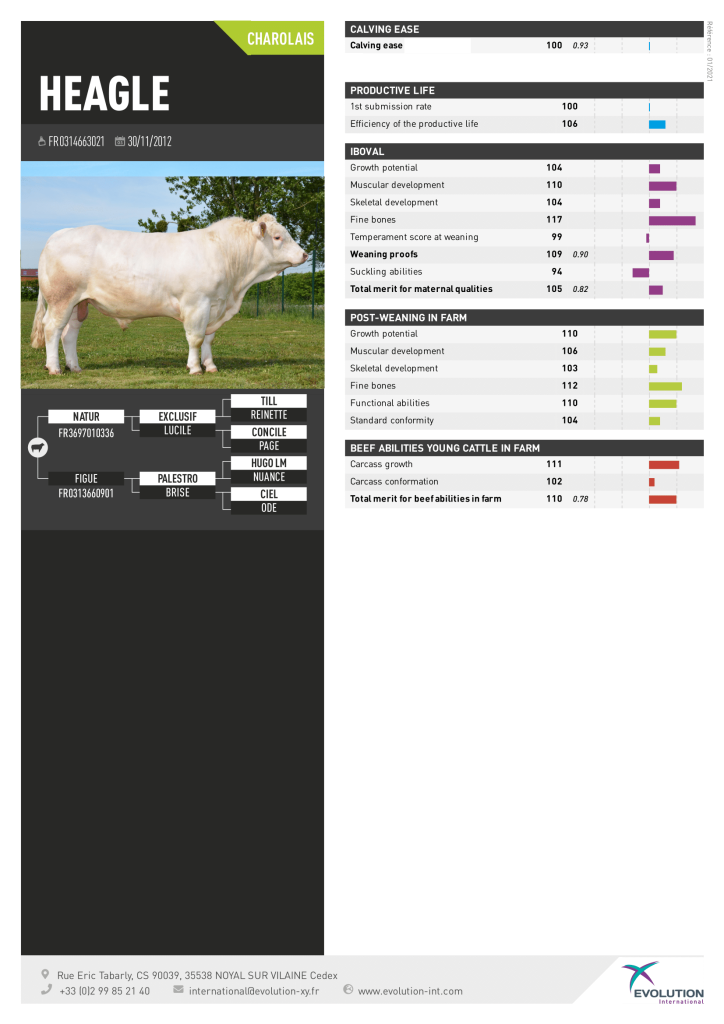 Heagle – ambodoktonate